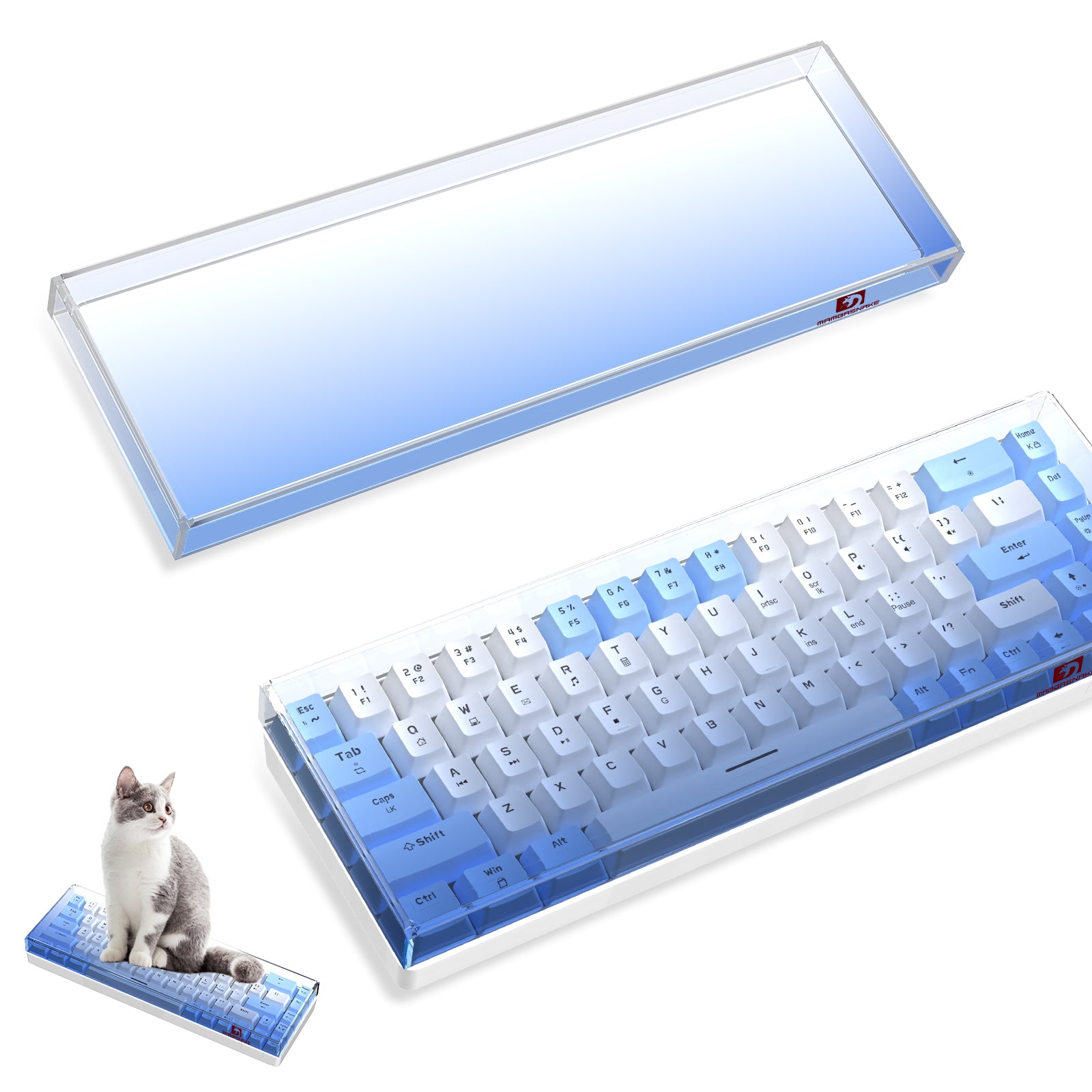 Keyboard Covers & Stand: Ultimate Protection & Style – MAMBASNAKE